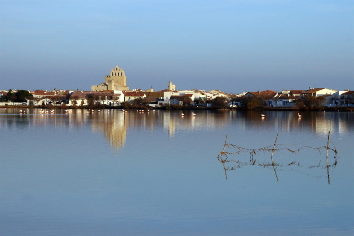 L'étang des Launes - LES SAINTES, notre village